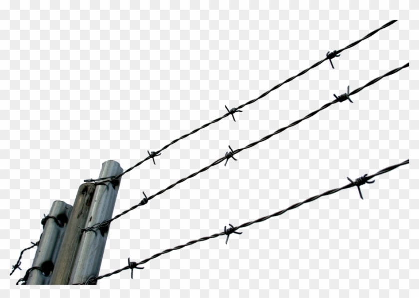 Barbwire Fence - Fence Barbed Wire Psd Png, Transparent Png - 903x600 ...