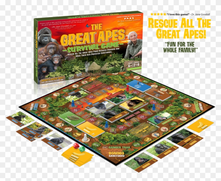 Board Game , Png Download - Board Game, Transparent Png - 1019x790 ...