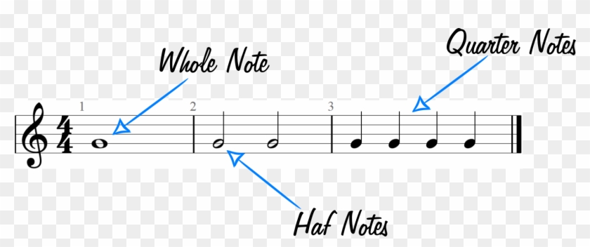 Whole Notes, Half Notes And Quarter Notes Example Graphic - Treble Clef ...