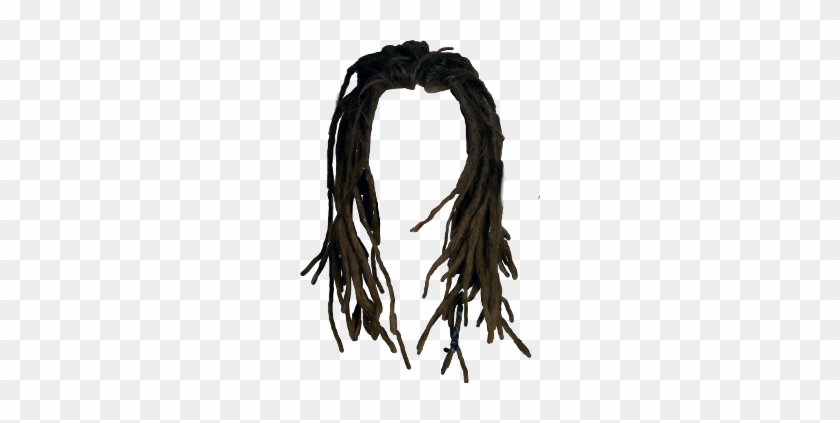 Dreadlocks Transparent Background, HD Png Download - 240x343(#2292964 ...