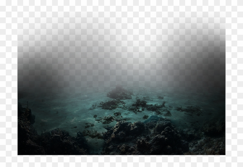 Seabed - Underwater, HD Png Download - 720x496(#2311415) - PngFind