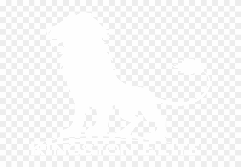 Ti King Album Cover, HD Png Download - 693x531(#2313011) - PngFind