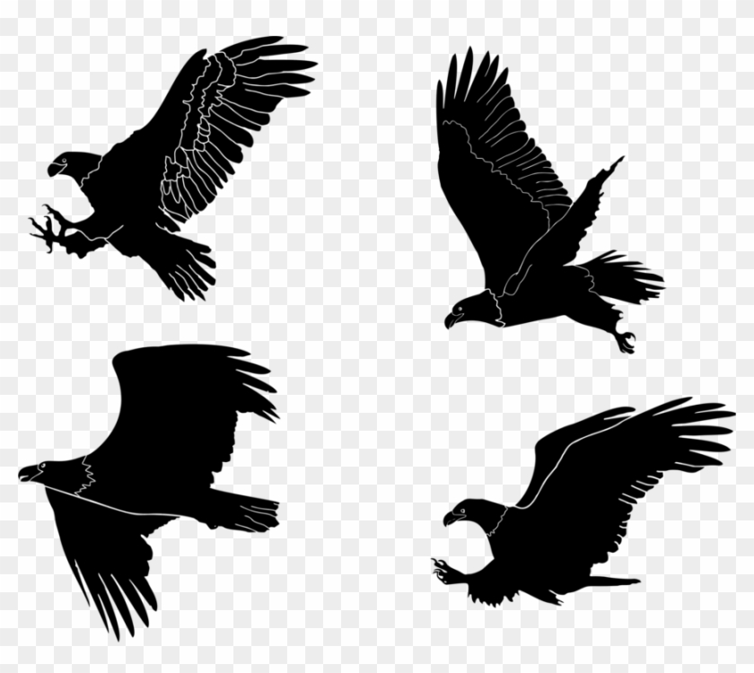 Bald Eagle Bird Of Prey Beak - Eagle Shadow, HD Png Download - 887x750 ...