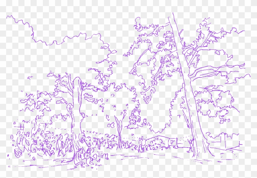 The Meredith Supernatural Amphitheatre Is Situated - Illustration, HD ...