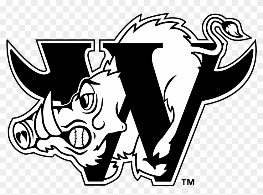 Winston Salem Dash Logo