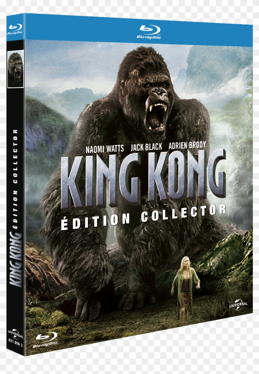 King Kong Png, Transparent Png - 966x1290(#240704) - PngFind