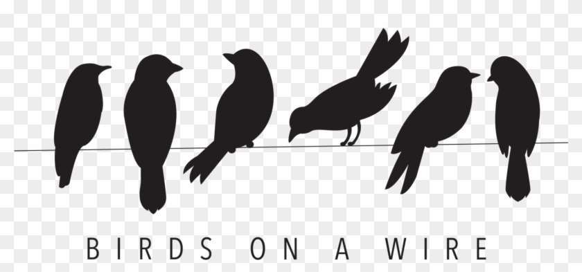 Bird On A Barbed Wire Silhouette