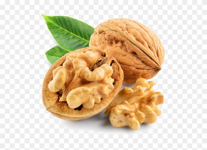 Walnut Transparent Image - Walnut S, HD Png Download - 600x600(#2421210 ...