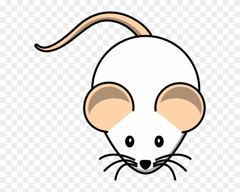 Small - Mouse Drawing, HD Png Download - 600x592(#2455526) - PngFind