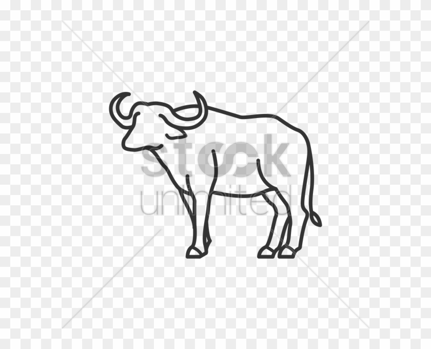 Tamaraw Drawing Sketch