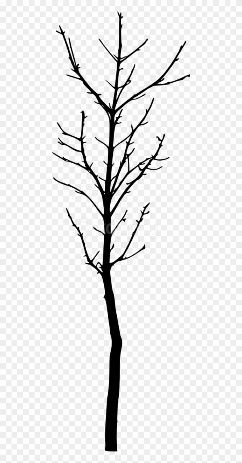 Simple Leafless Tree Outline