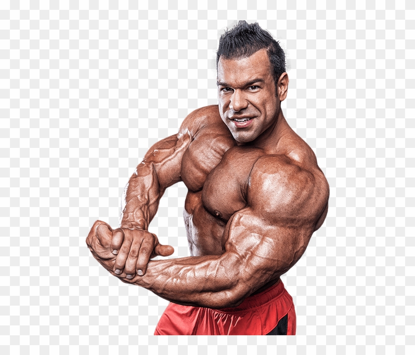 Bodybuilding Png, Transparent Png - 606x646(#2536788) - PngFind