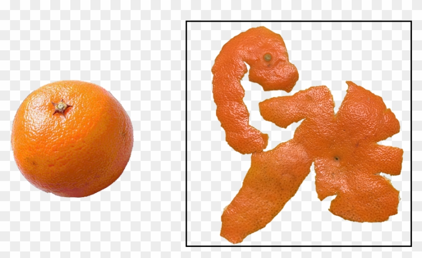 Examples Of Sphere In Real Life