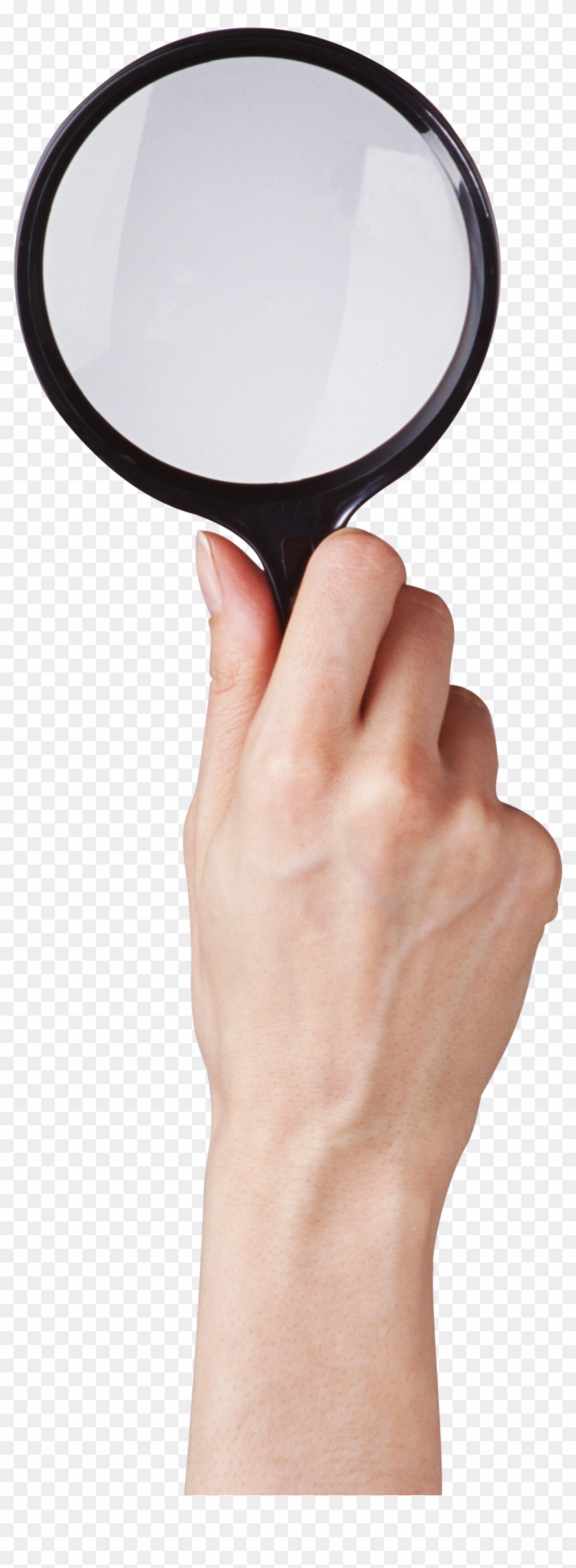 Loupe In Hand Png Image - Hand Lens, Transparent Png - 1312x3508 ...