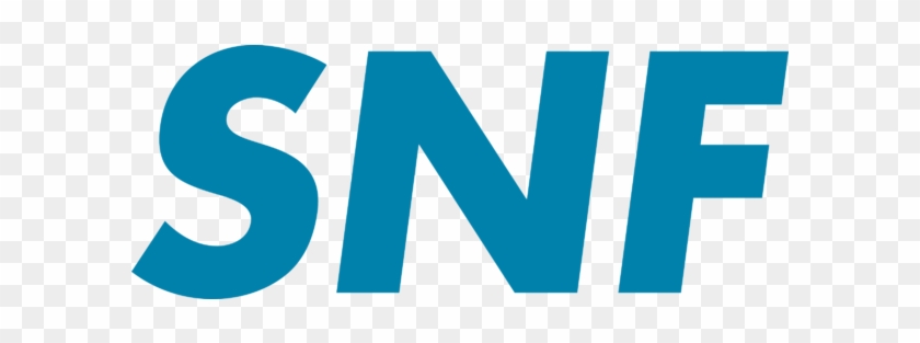 Thumb Image - Snf Logo, HD Png Download - 800x600(#2568412) - PngFind