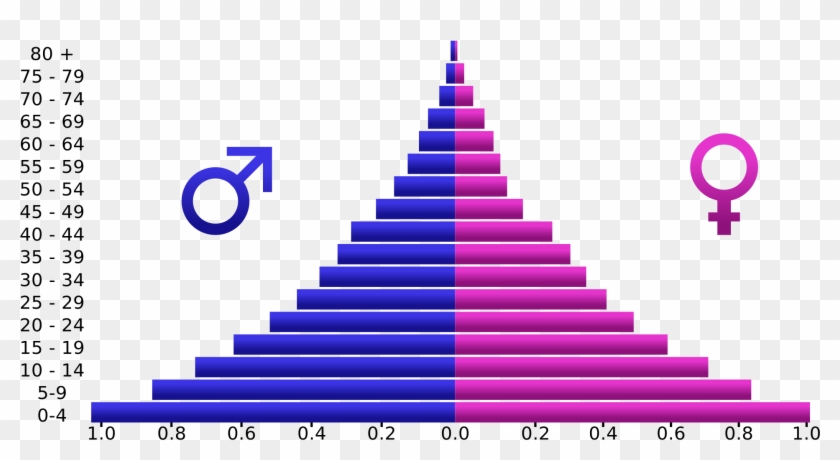 Pyramids Clipart Svg - Population Pyramid Uk 1950, HD Png Download ... Pyramids Clipart Svg - Population Pyramid Uk 1950, HD Png Download ...