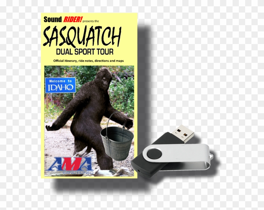Sasquatch Dual Sport Adventure Tour - Sassy The Sasquatch Volcano Bong ...