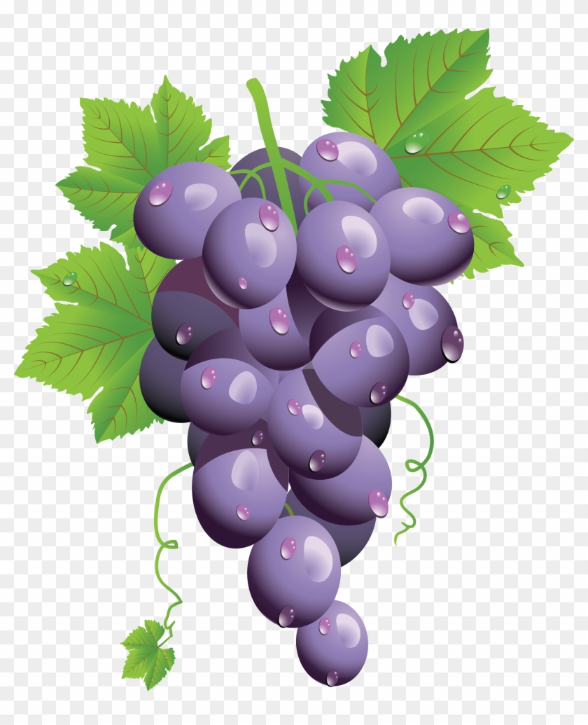 Grape Png Image - Grapes Png, Transparent Png - 2976x3526(#265020 ... Grape Png Image - Grapes Png, Transparent Png - 2976x3526(#265020 ...