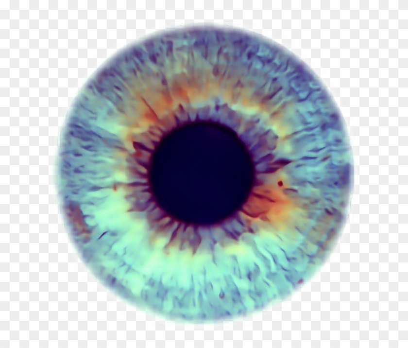 Ojos Png Ojos Adorables Animados PNG Transparent With Clear Background