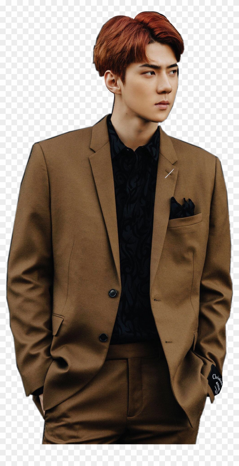 Sehun Sticker - Sehun Don T Mess Up My Tempo, HD Png Download ...