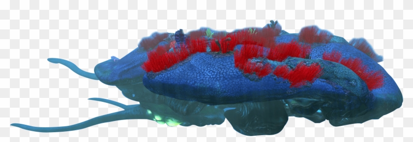 Reefback - Marine Invertebrates, HD Png Download - 2560x1440(#2689887 ...