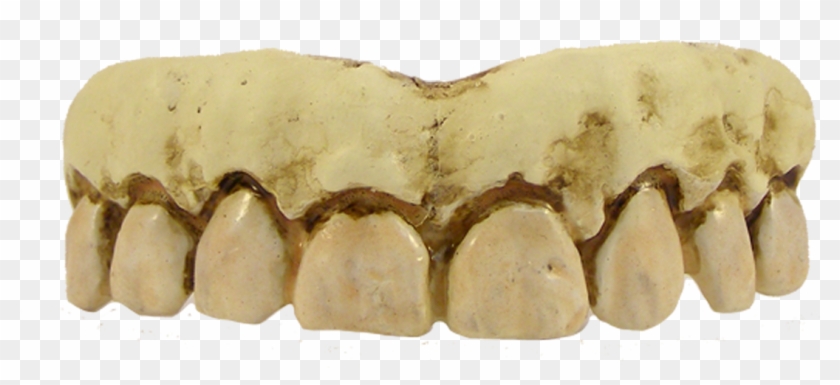 Fangs Png, Transparent Png - 1200x632(#274300) - PngFind