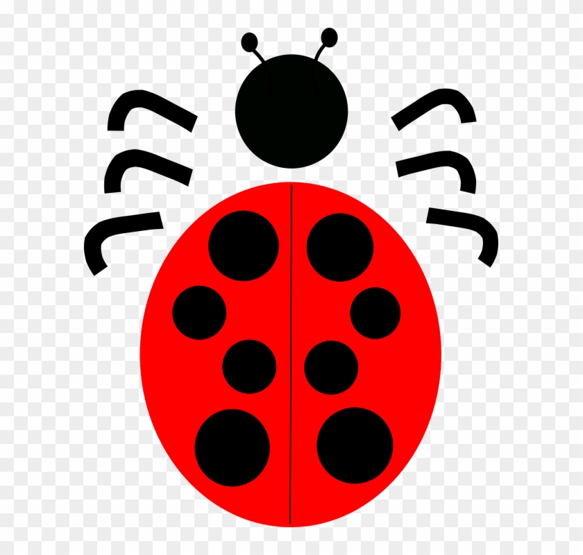 Red Bug Png - Ladybird Beetle, Transparent Png - 597x720(#2715752 ...