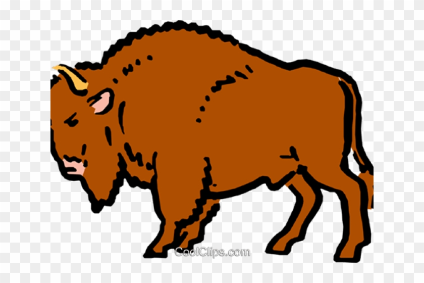 Native American Buffalo Clipart Png
