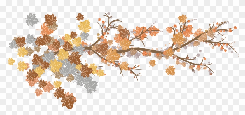 Ramas De Otoño Png, Transparent Png - 1920x810(#2770581) - PngFind
