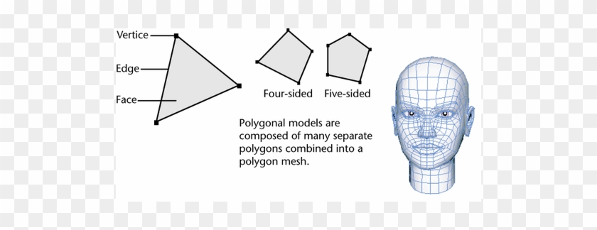 You Create Your 3d Polygonal Models Using Polygon Meshes - Polygonal ...