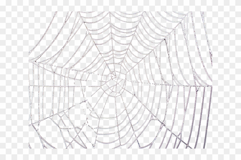 Drawn Spider Web Transparent Tumblr - Spider Web, HD Png Download ...