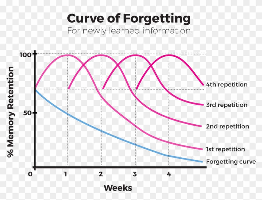 Curve Of Forgetting, HD Png Download - 1500x1060(#284350) - PngFind
