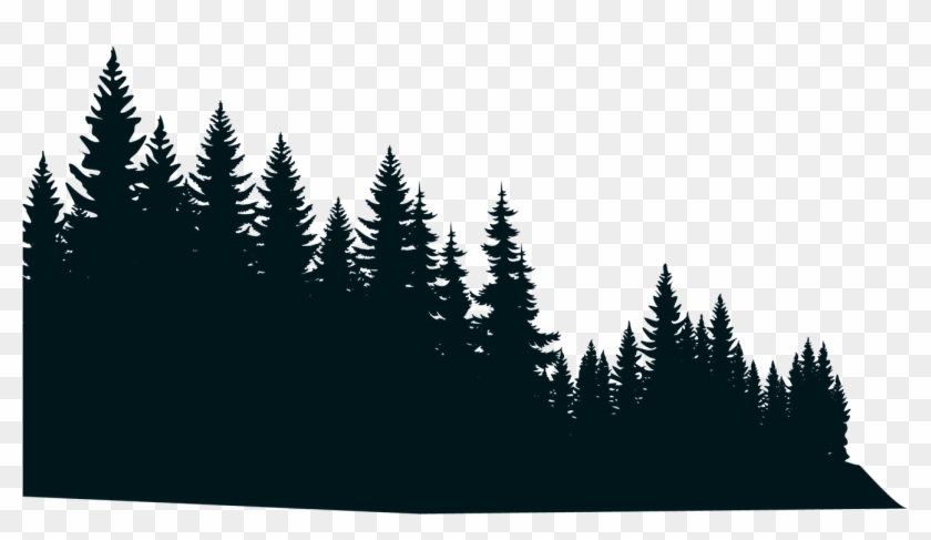Forest Graphic Design, HD Png Download - 1806x1065(#287736) - PngFind