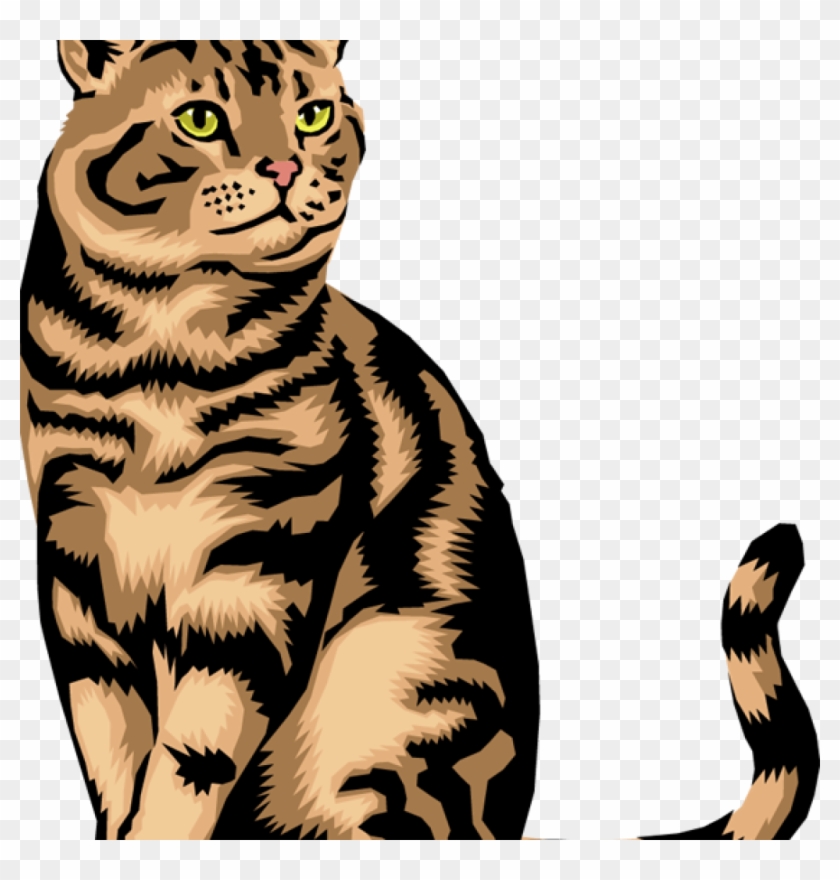 Cat Vector Real - Cat Free Clip Art, HD Png Download - 1024x1024 ...