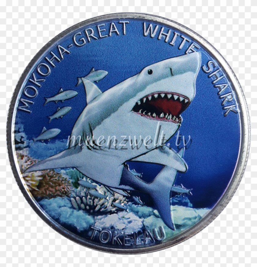 5 Dollar Tokelau - Great White Shark, HD Png Download - 1000x991 ...