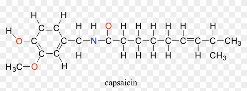 Capsaicin - Capsaicin Structural Formula, HD Png Download - 1136x385 ...