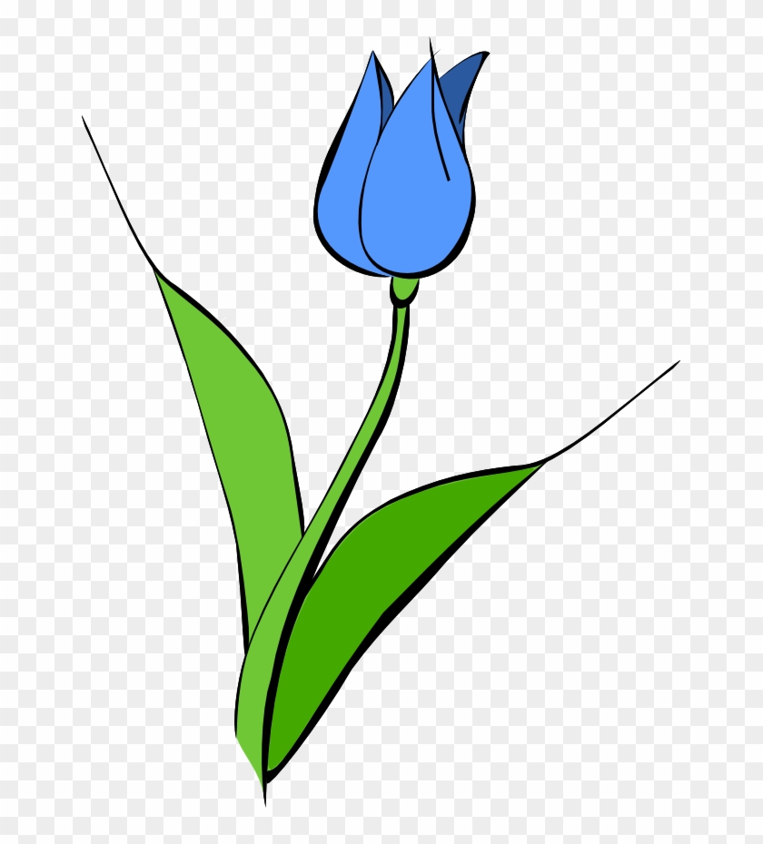 Blue Tulip Clip Art - Blue Tulip Clipart, HD Png Download - 659x850 ...