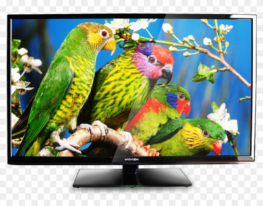 Led Television Png Hd - Led Tv Images Png, Transparent Png - 1024x768 ...