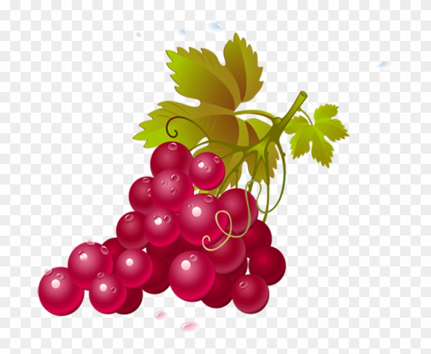 Grapes Fruit Clipart
