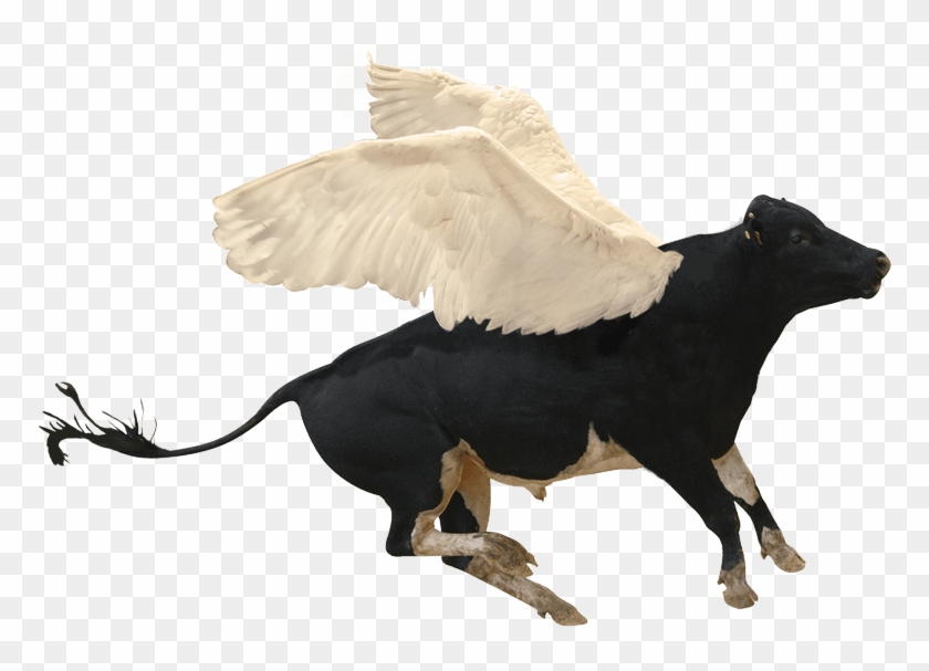 Bull, HD Png Download - 880x889(#298788) - PngFind