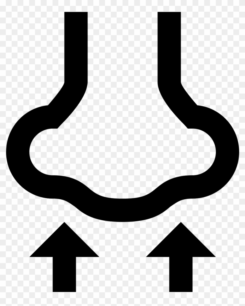 Vector Steam Odor - Smell Logo, HD Png Download - 1600x1600(#2908501 ...