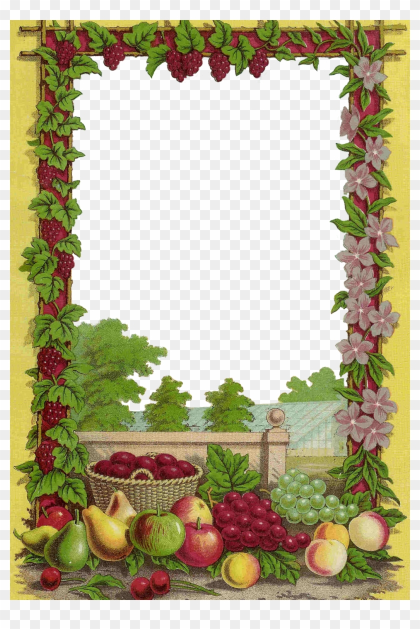 Free Fruit Clip Art Decorative Frame From - Fruits Borders And Frames ...