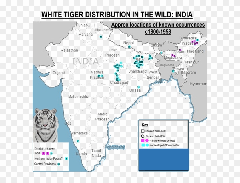 White Tiger Habitat Map
