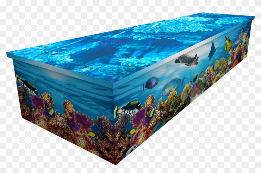Coffin Pic - Most Beautiful Coffin, HD Png Download - 1280x787(#2950061 ...
