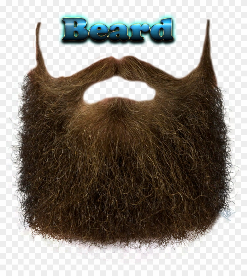 Png Royalty Free Png Names Free Download - Beard Texture, Transparent ...