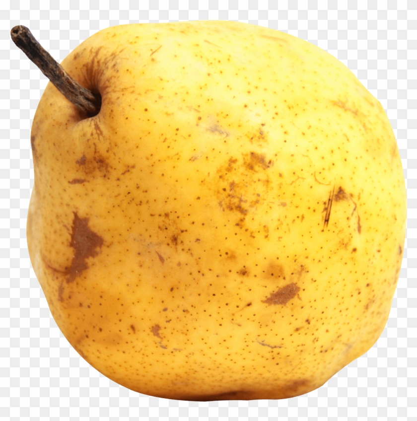 Pear Png Image With Transparent Background - Asian Pear, Png Download ...