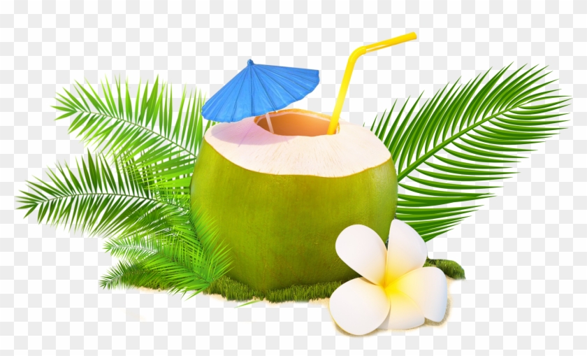 Trendy Coconut - Coconut Water, HD Png Download - 2801x1565(#3002152 ... Trendy Coconut - Coconut Water, HD Png Download - 2801x1565(#3002152 ...