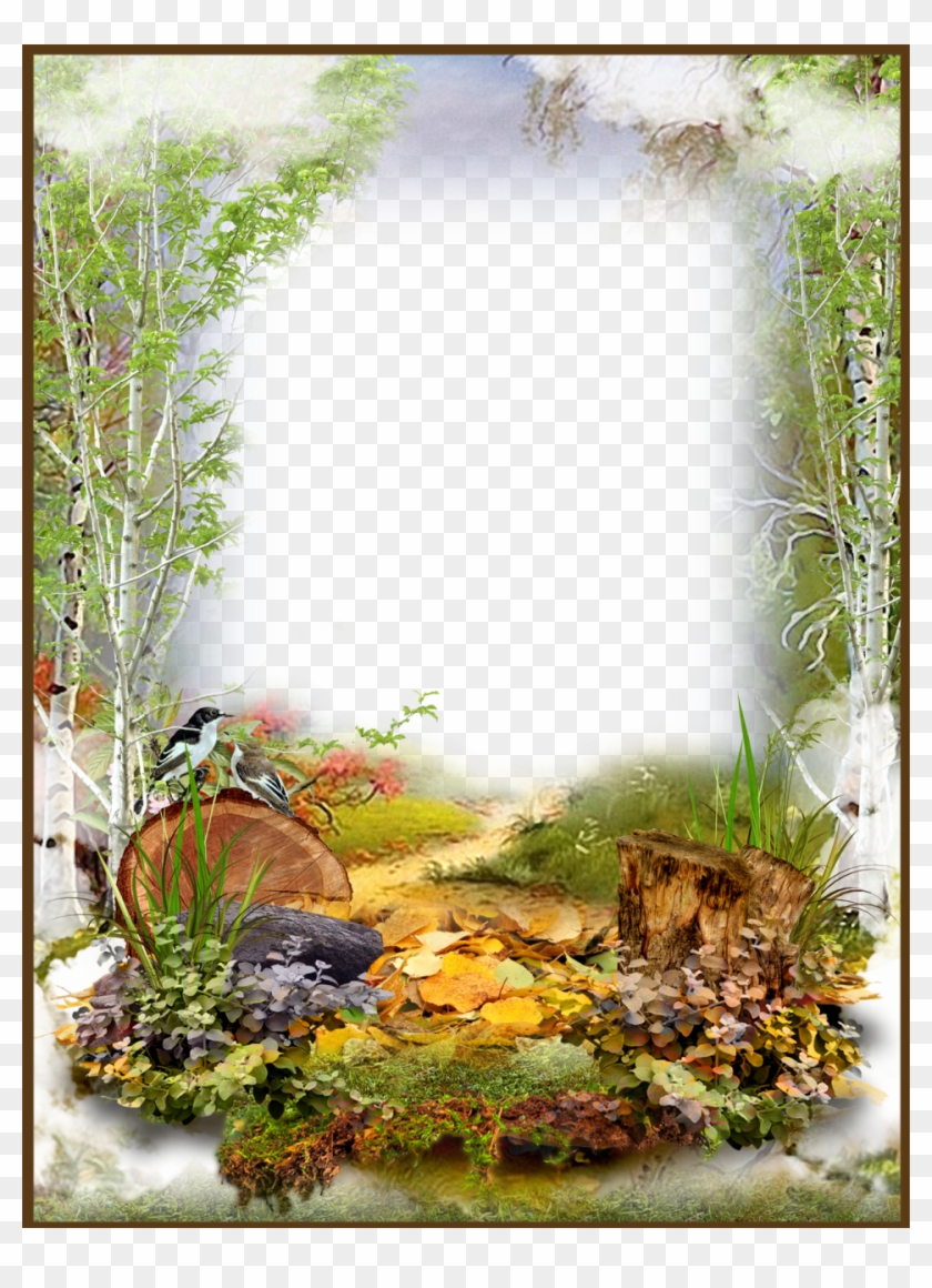 Country Frame Png, Transparent Png - 960x1280(#3028222) - PngFind