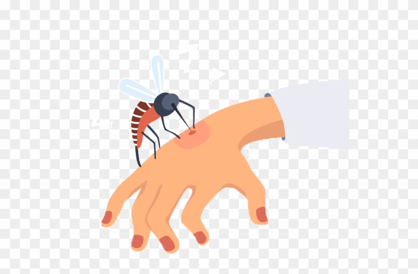 How Can You Protect Yourself - Cartoon, HD Png Download - 626x626 ...