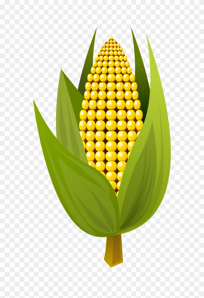 Korn Clipart Rice Corn - Corn Origami, HD Png Download - 1024x1448 ...